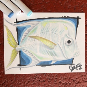 how to draw fish mooney