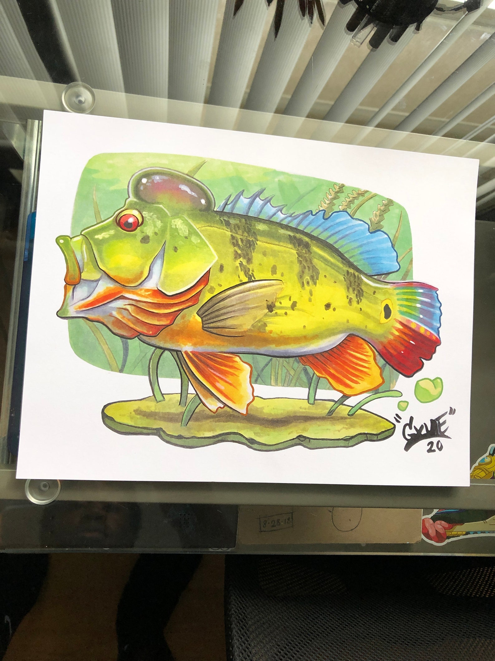 Butterfly Peacock Bass 2020 8"x10" - Etsy