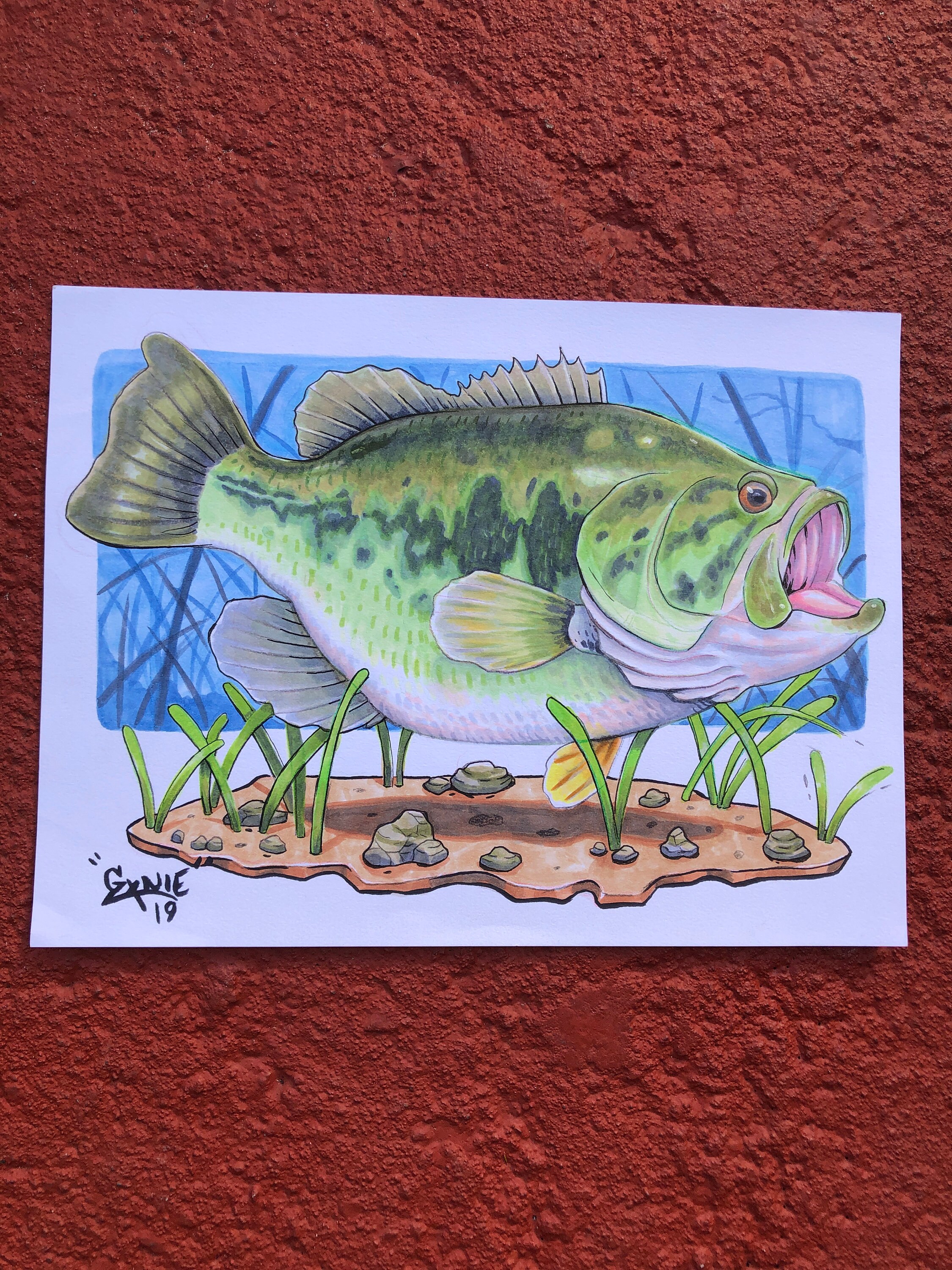 Largemouth Bass Print 11"x8.5" - Etsy