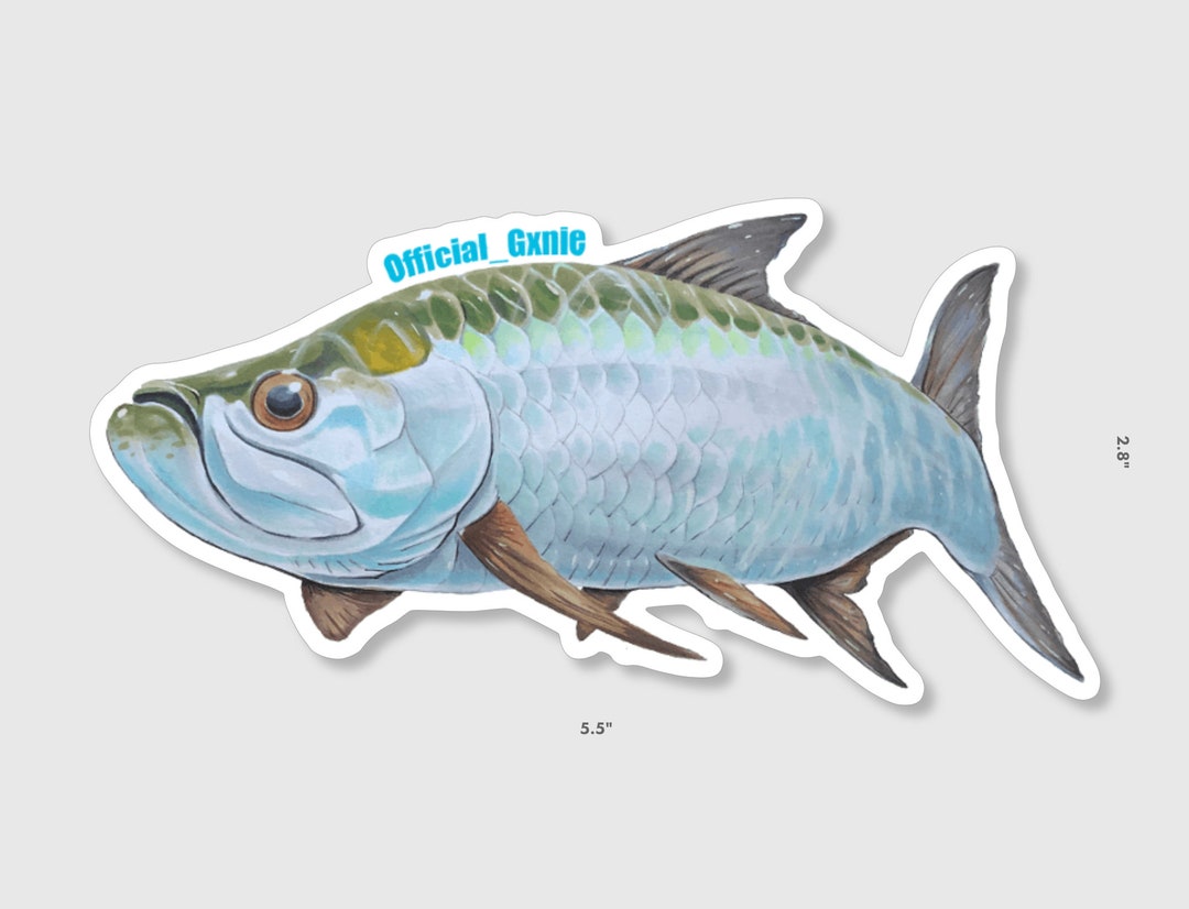 Tarpon Sticker - Etsy