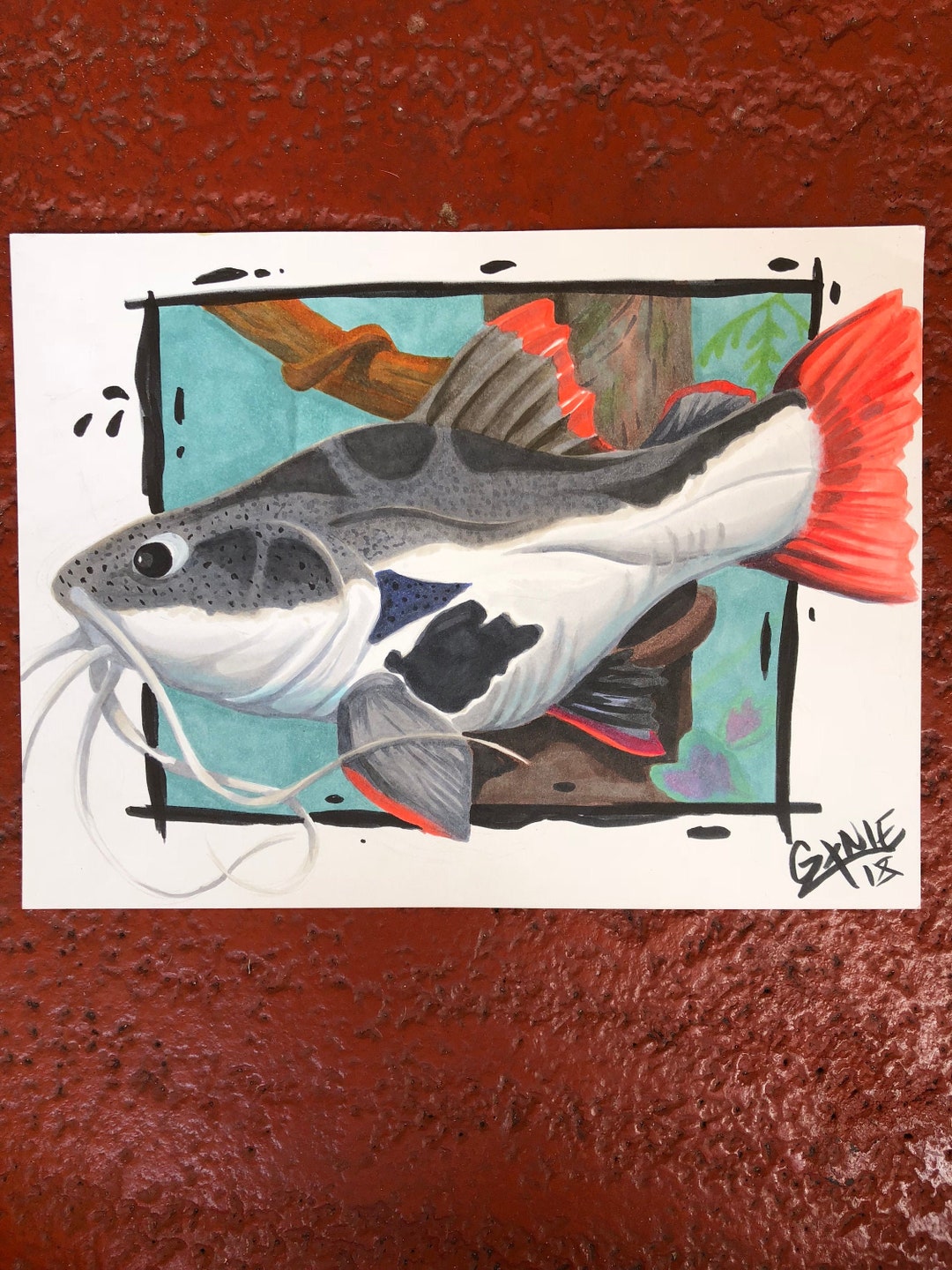 Redtail Catfish Print 8.5"x11" - Etsy