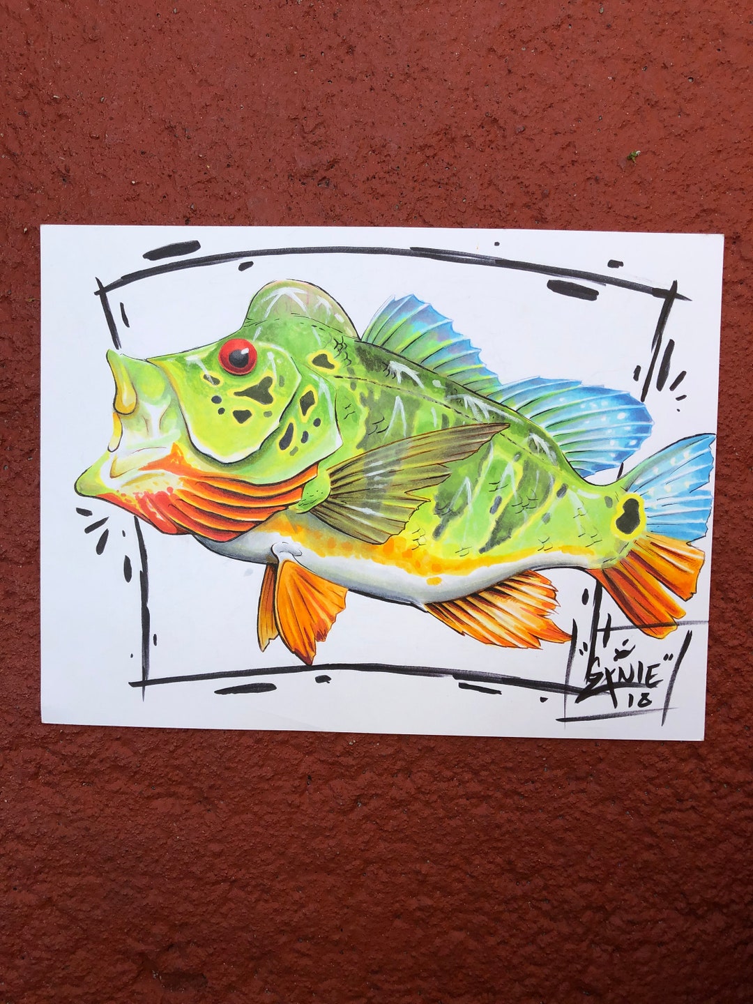 Peacock Bass Print 11"x8.5" - Etsy