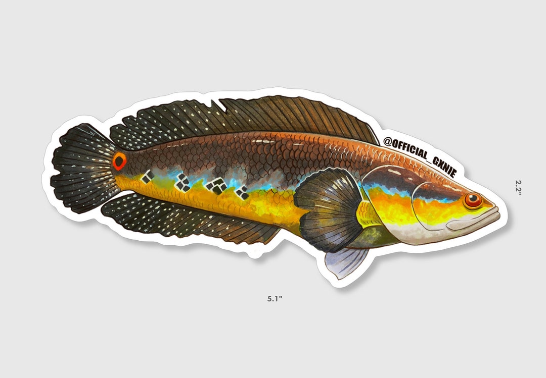 Snakehead Sticker - Etsy