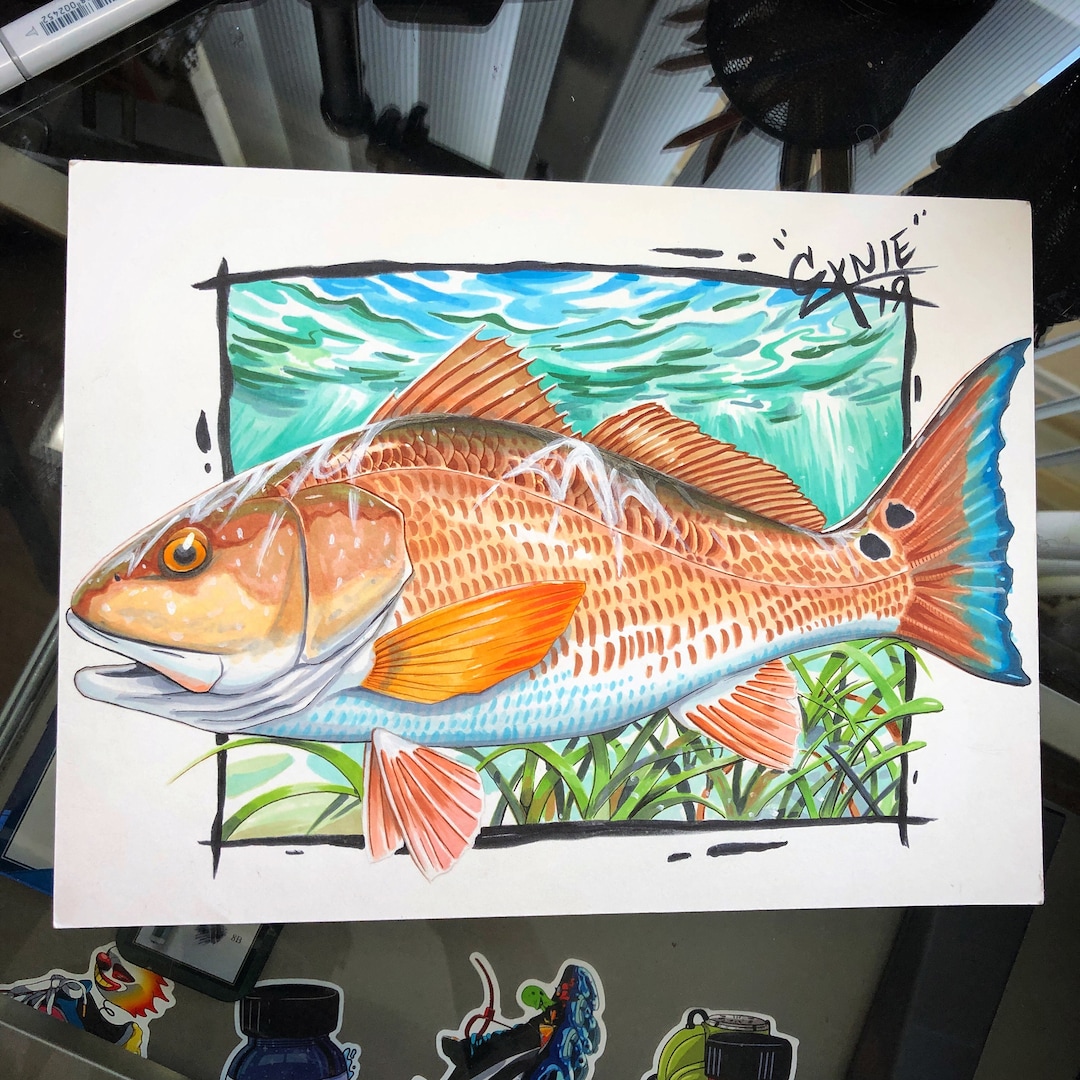 Redfish Print 8.5x11 - Etsy