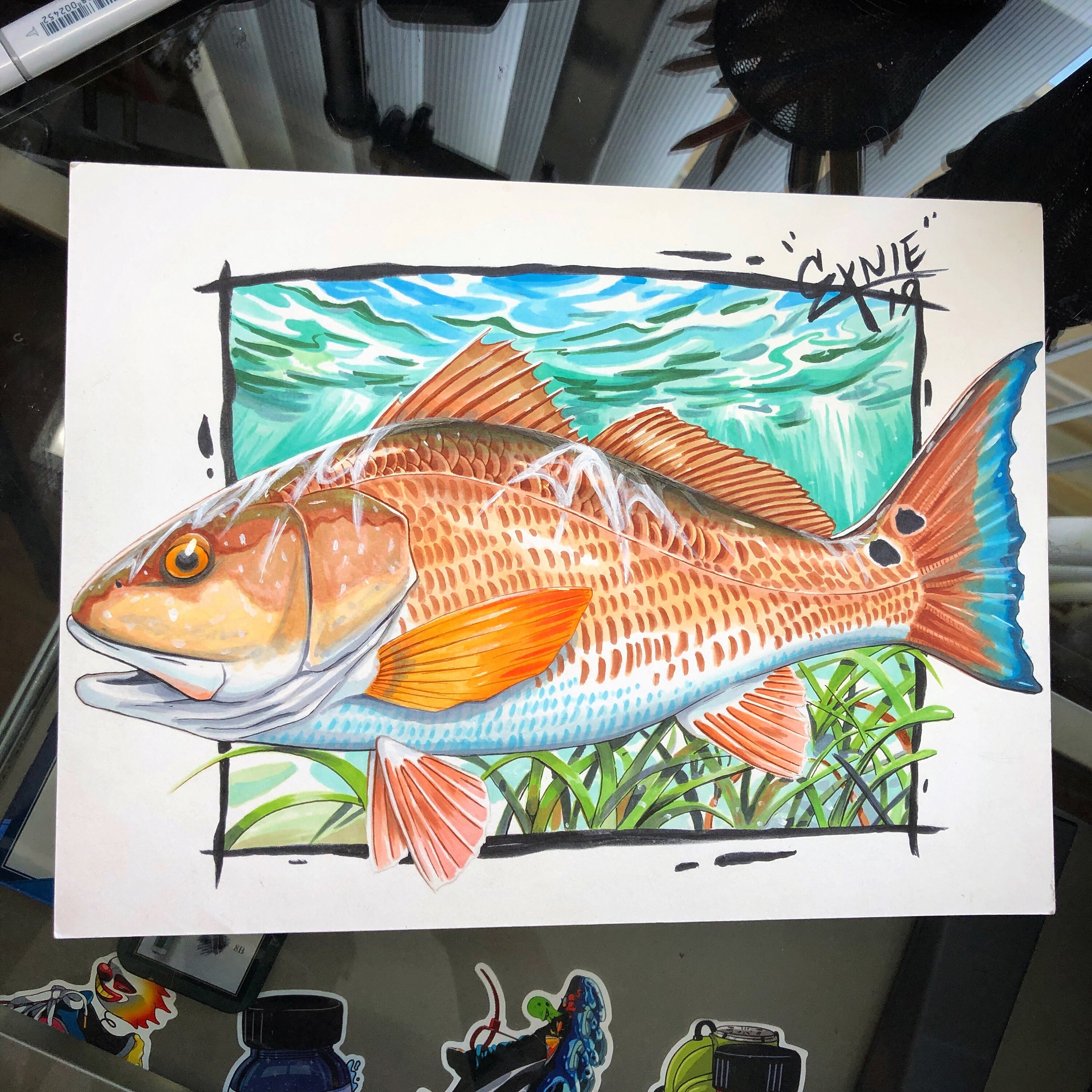 Redfish Print 8.5x11 - Etsy