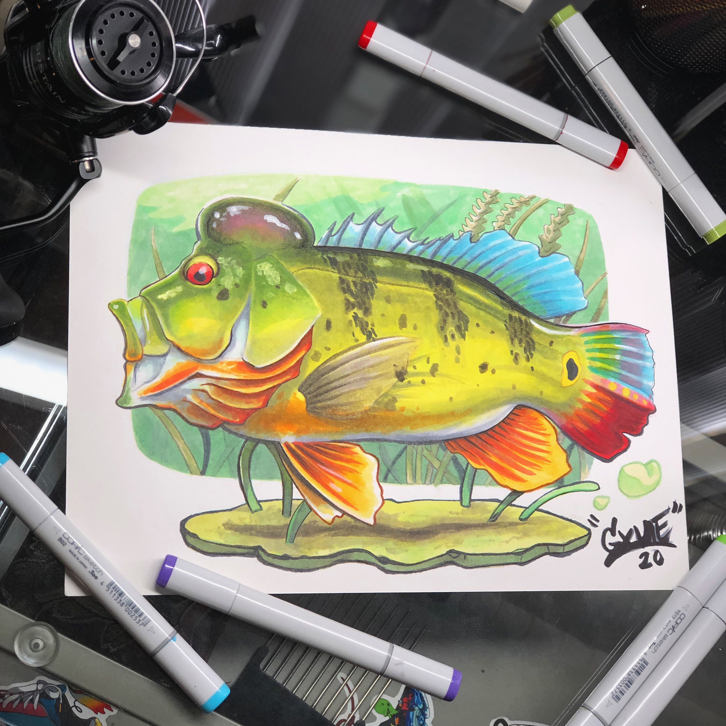 Butterfly Peacock Bass 2020 8"x10" - Etsy