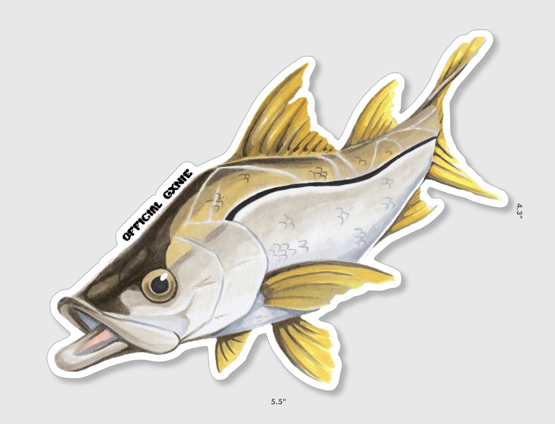 Snook Sticker - Etsy