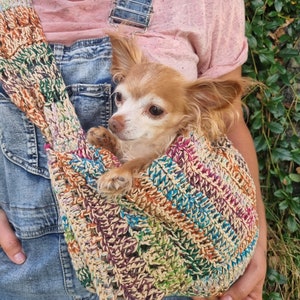 Pet Carrier Crochet Bag Pattern - Etsy