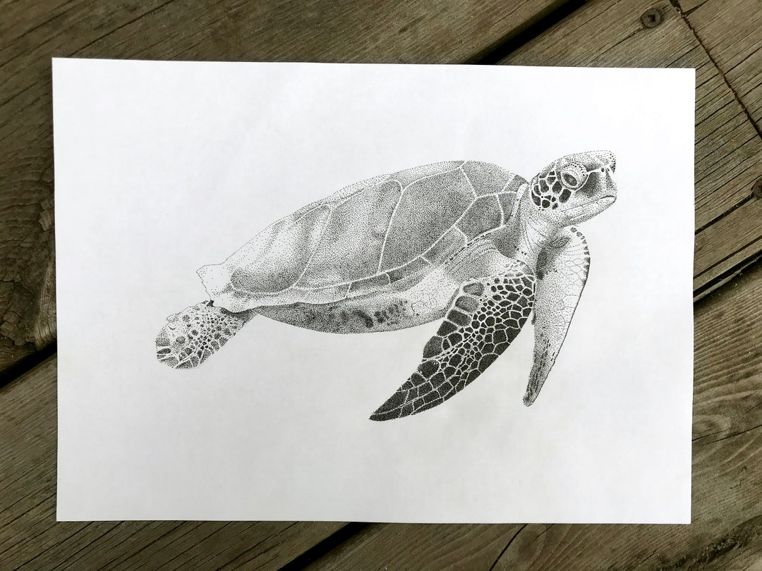 Sea Turtle Stippled Art Print - Etsy