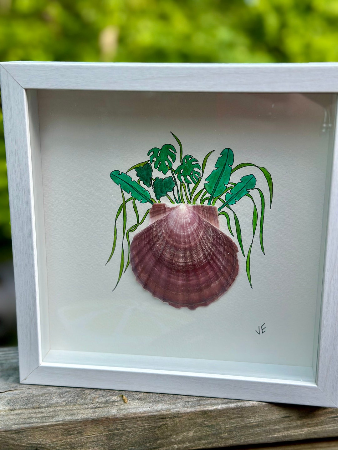 Seashell Plant Shadow Box Wall Décor - Etsy