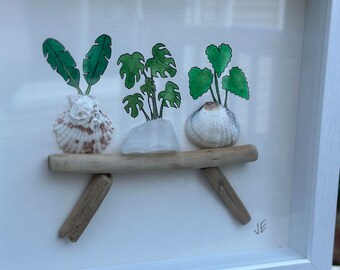 Seashell Plant Shadow Box Wall Décor - Etsy