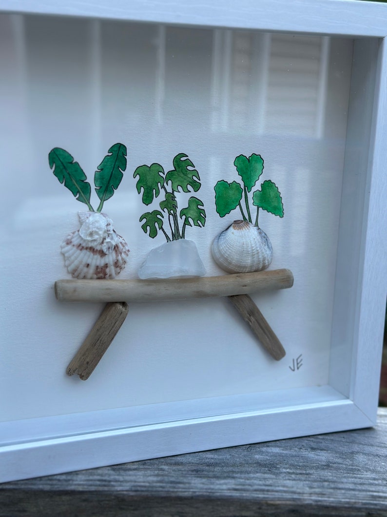 Seashell Plant Shadow Box Wall Décor - Etsy