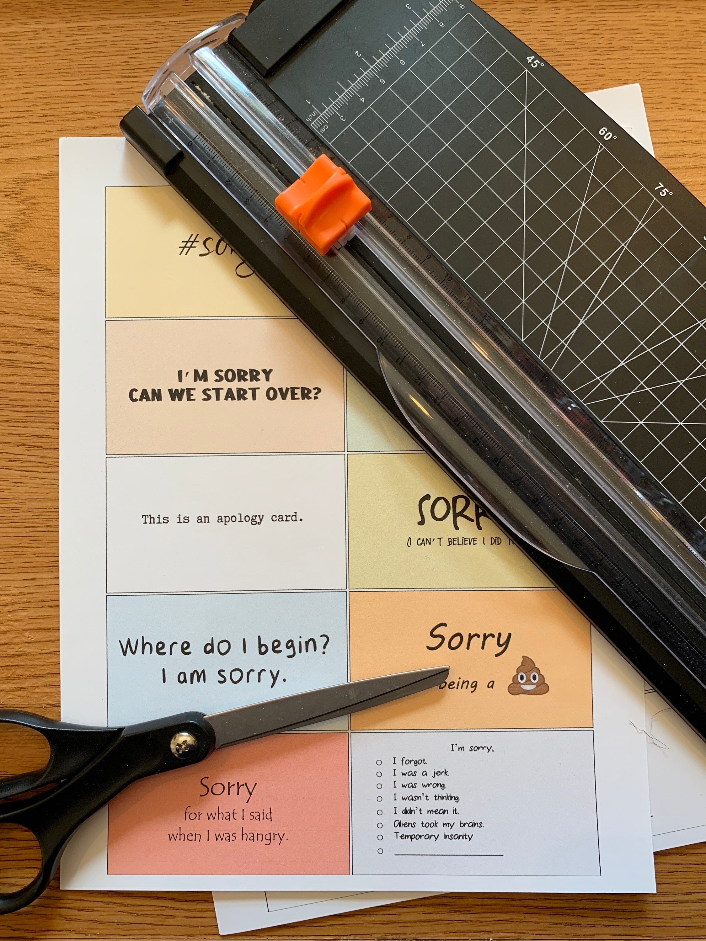 Printable Apology Mini Cards, Set of 10, Instant Download, I'm Sorry ...