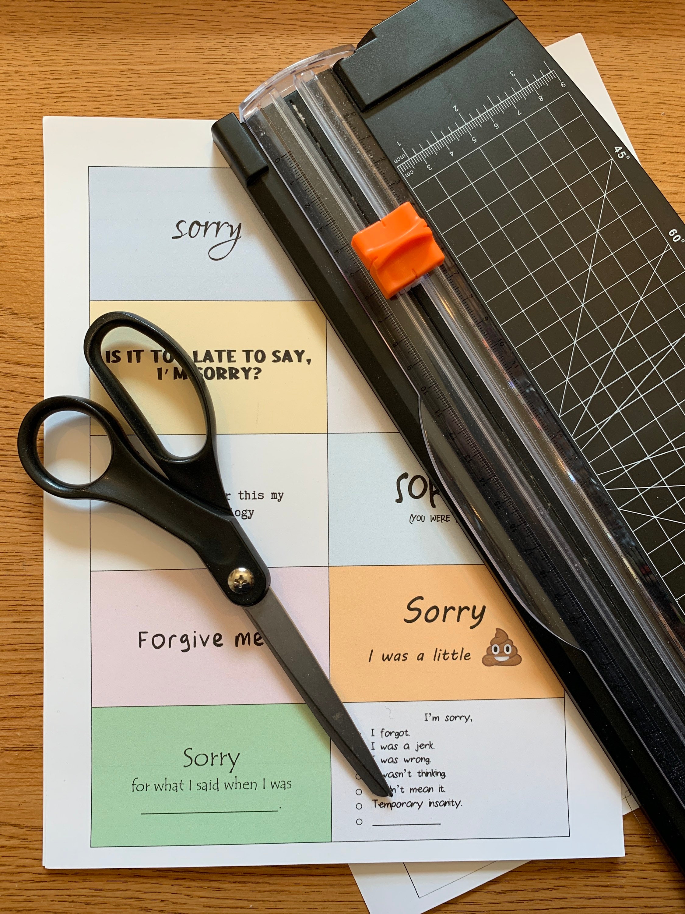 Printable Apology Mini Cards, Set of 10, Instant Download, I'm Sorry ...