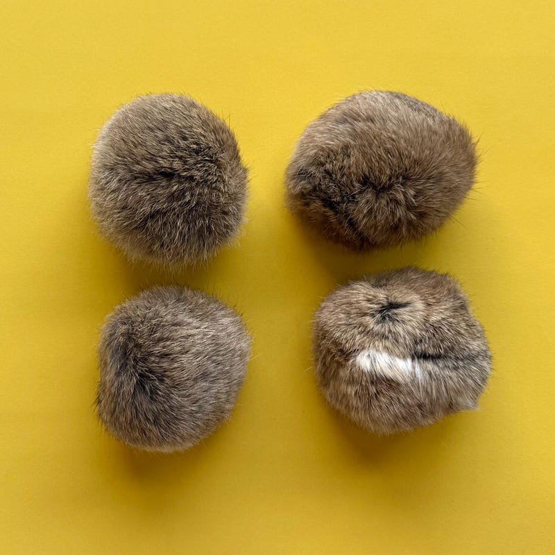 Pom Pom Cat Toys - Etsy UK