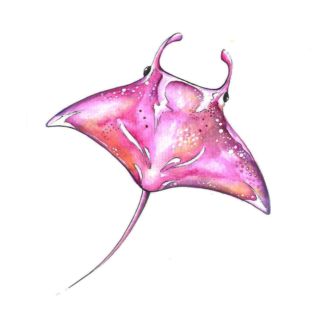 Delightful Pink Manta Ray! - Etsy