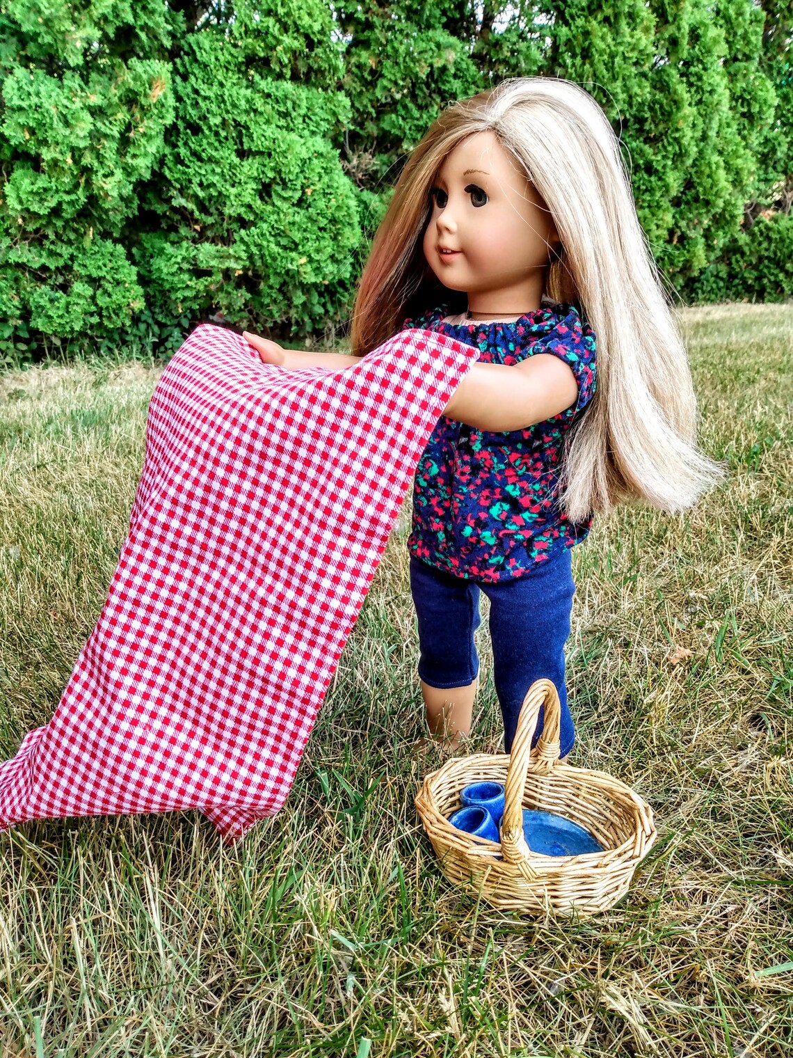 Picnic Basket and Dishes Set for 18 Inch Dolls - Etsy