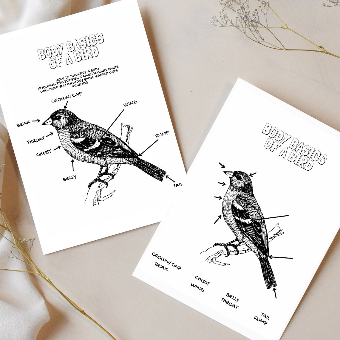 Bird Watching With Kids Activity Bundle Birding With Kids Birding Tally Sheet Identify Bird ...