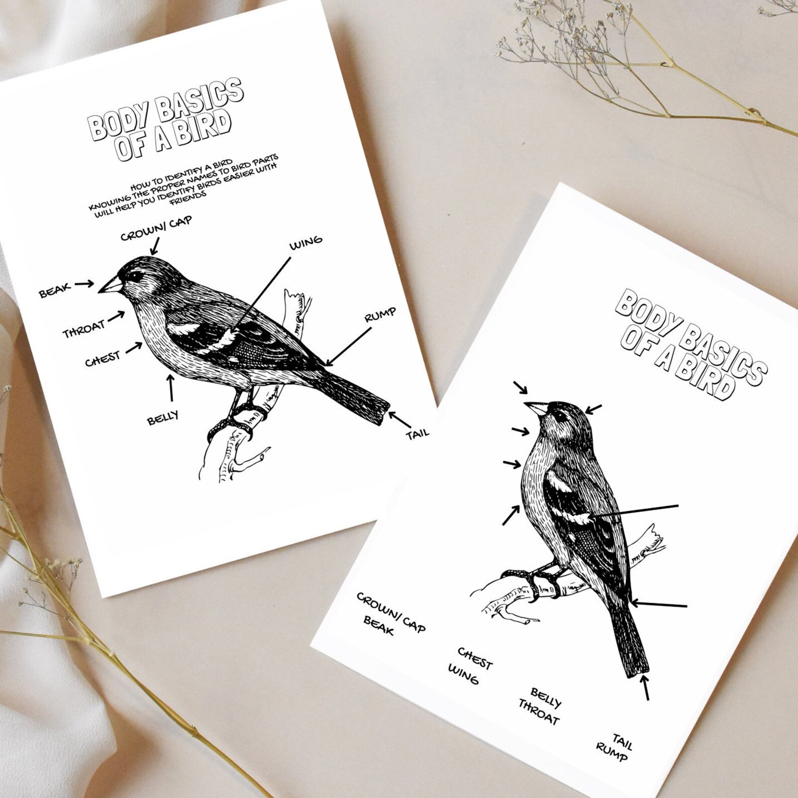 Bird Watching With Kids Activity Bundle Birding With Kids Birding Tally ...