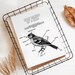 Bird Watching With Kids Activity Bundle Birding With Kids Birding Tally ...