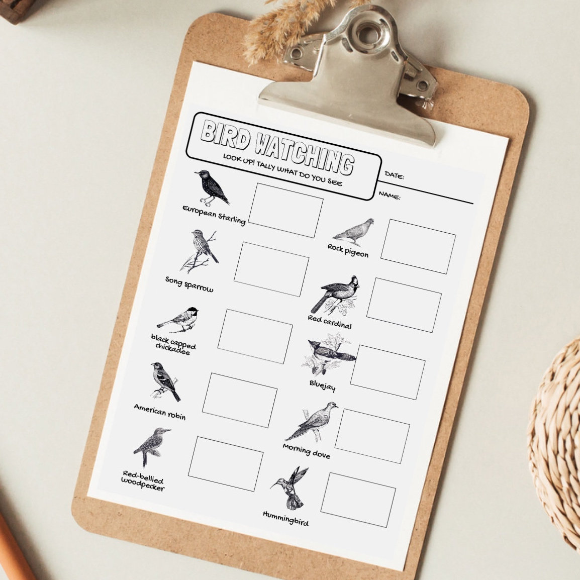 Bird Watching With Kids Activity Bundle Birding With Kids Birding Tally ...