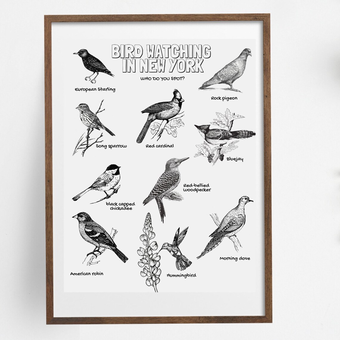 Bird Watching With Kids Activity Bundle Birding With Kids Birding Tally ...