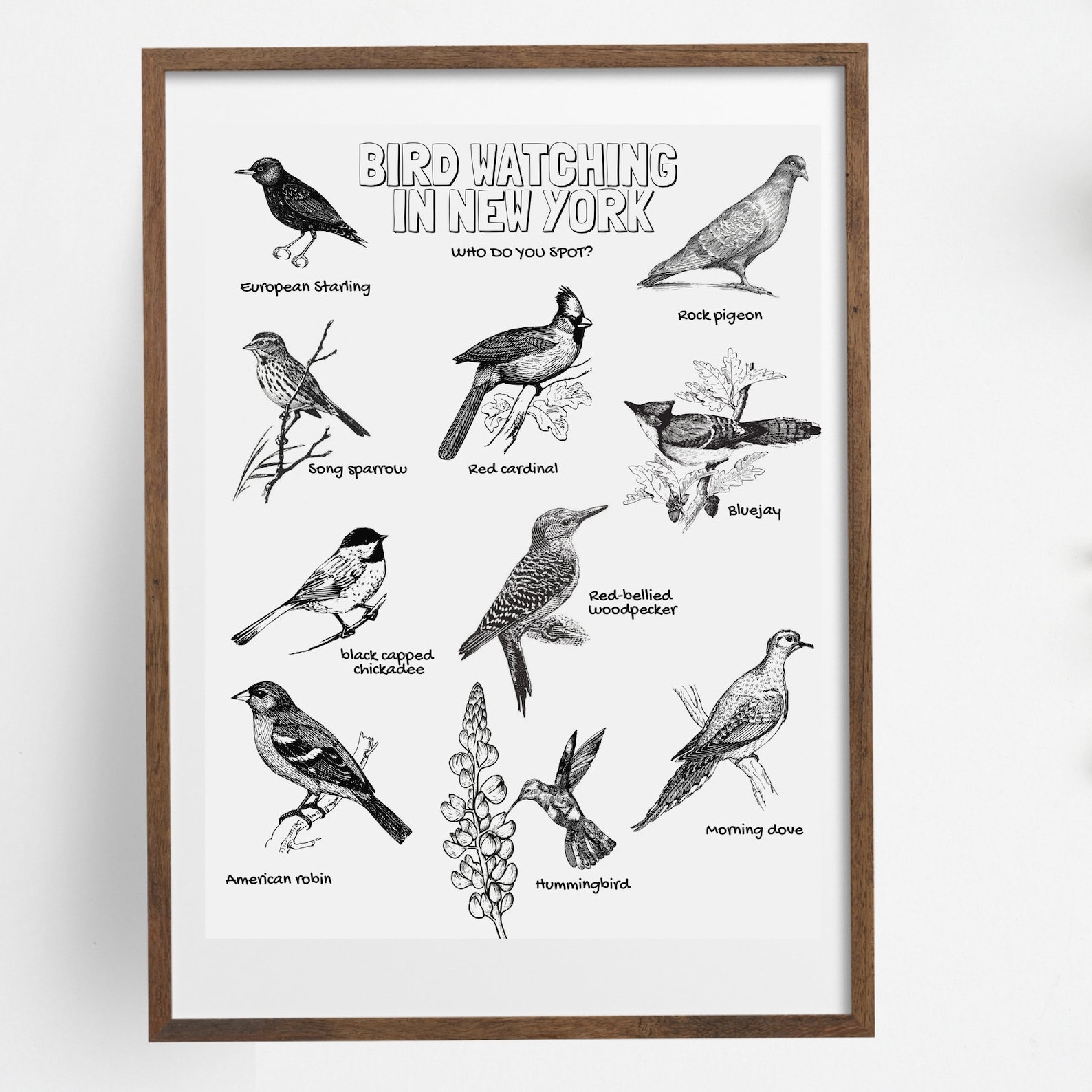 Bird Watching With Kids Activity Bundle Birding With Kids Birding Tally ...
