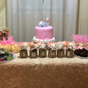 Rustic Baby Shower Decorations, Personalized Baby Shower Decor ...