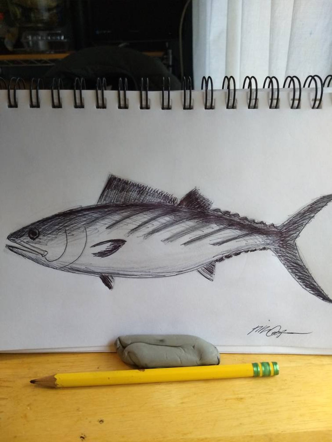 Bonito Fish Drawing, Pen and Ink Illustration, Original Art, Home Decor ...