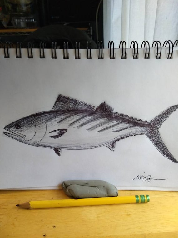 Bonito Fish Drawing Pen and Ink Illustration Original Art | Etsy