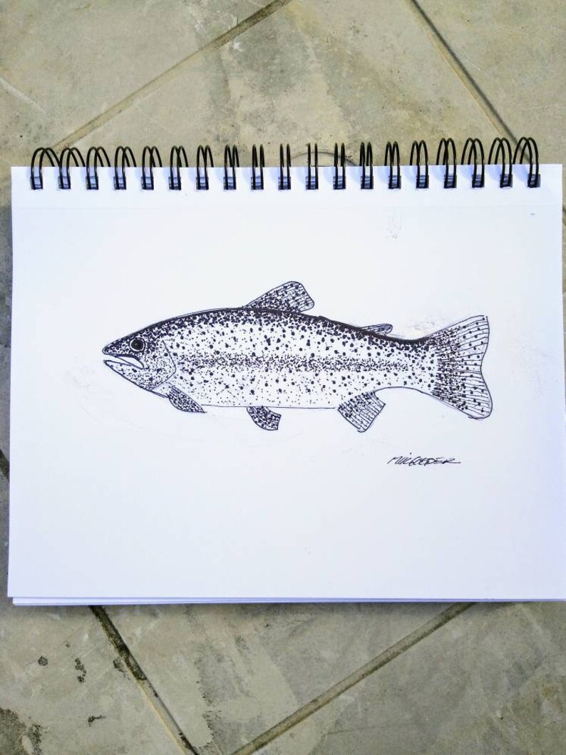 Rainbow Trout Art Original Drawing Pen and Ink Trout - Etsy