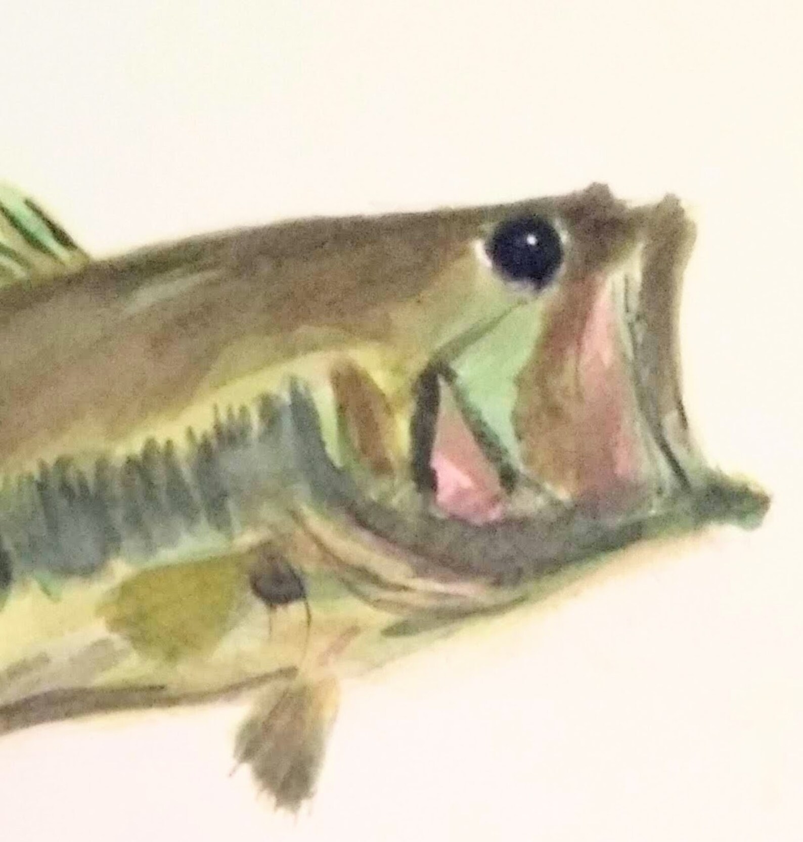 Largemouth Bass Watercolor, Fishing Painting, Bass Fishing Art ...