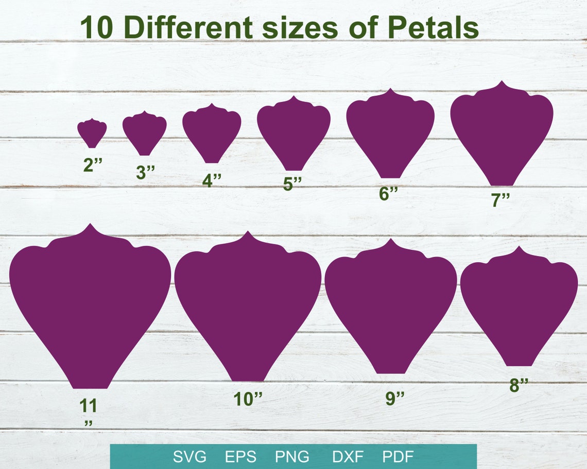 Flower Petal Template, Paper Flower SVG, DIY Large Paper Flower ...