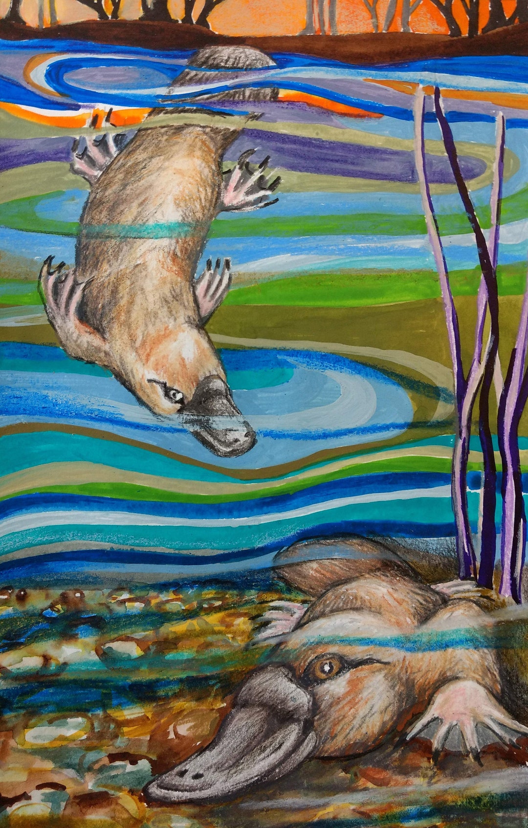 Platypus Art Print - Etsy