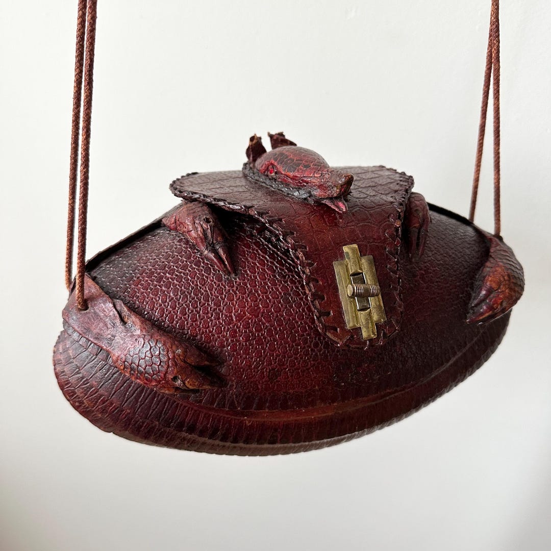 Vintage 1940s RARE Armadillo Taxidermy Purse Leather Bag - Etsy