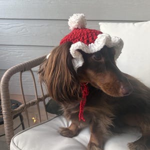 Santa Ruffle Dog Hat Crochet PATTERN - Etsy