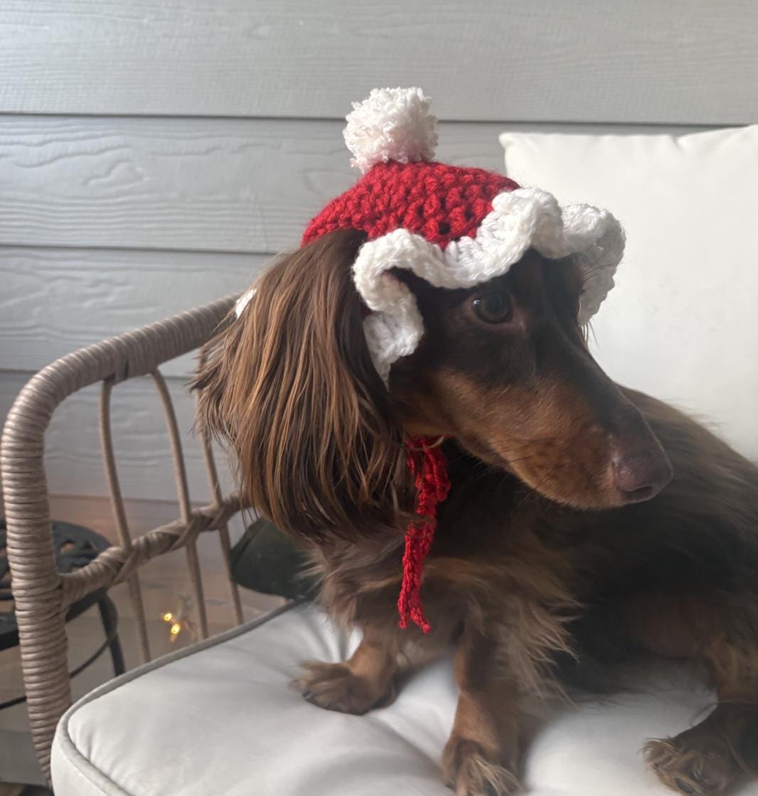 Santa Ruffle Dog Hat Crochet PATTERN - Etsy