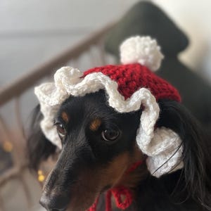 Santa Ruffle Dog Hat Crochet PATTERN - Etsy