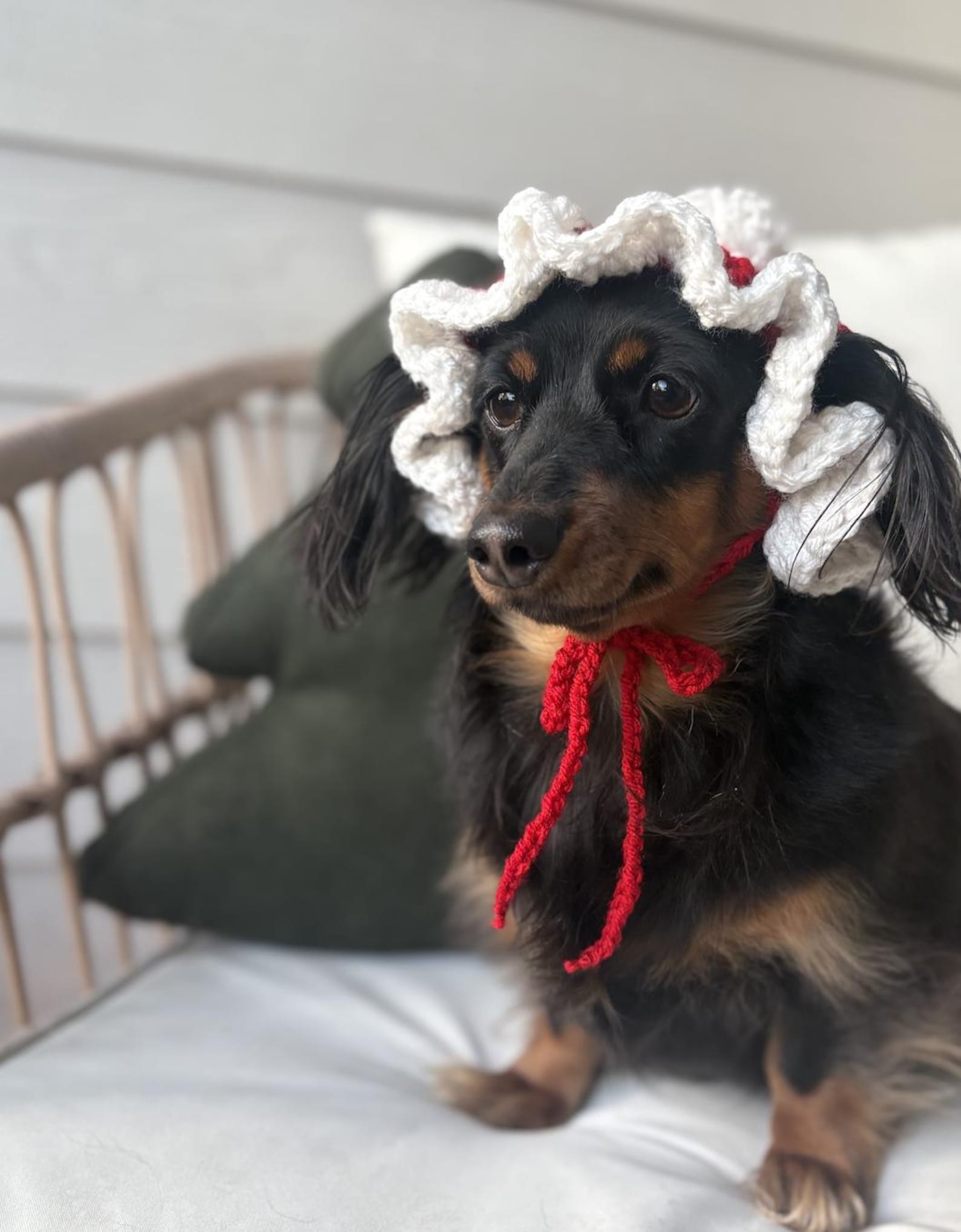 Santa Ruffle Dog Hat Crochet PATTERN - Etsy