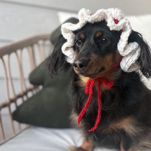 Santa Ruffle Dog Hat Crochet PATTERN - Etsy