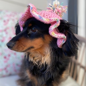 Original Ruffle Dog Hat Crochet Pattern PDF With Sizes - Etsy