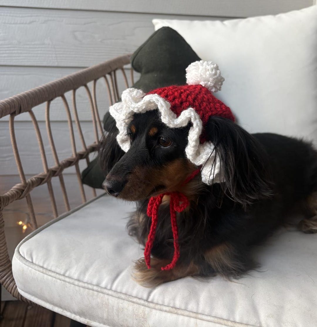 Santa Ruffle Dog Hat: Made to Order! - Etsy