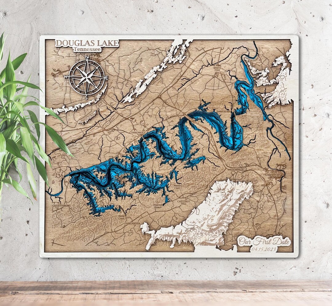 Douglas Lake Map 3D - Etsy