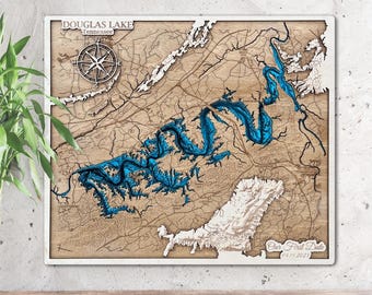 Douglas Lake Topographical Map - Etsy