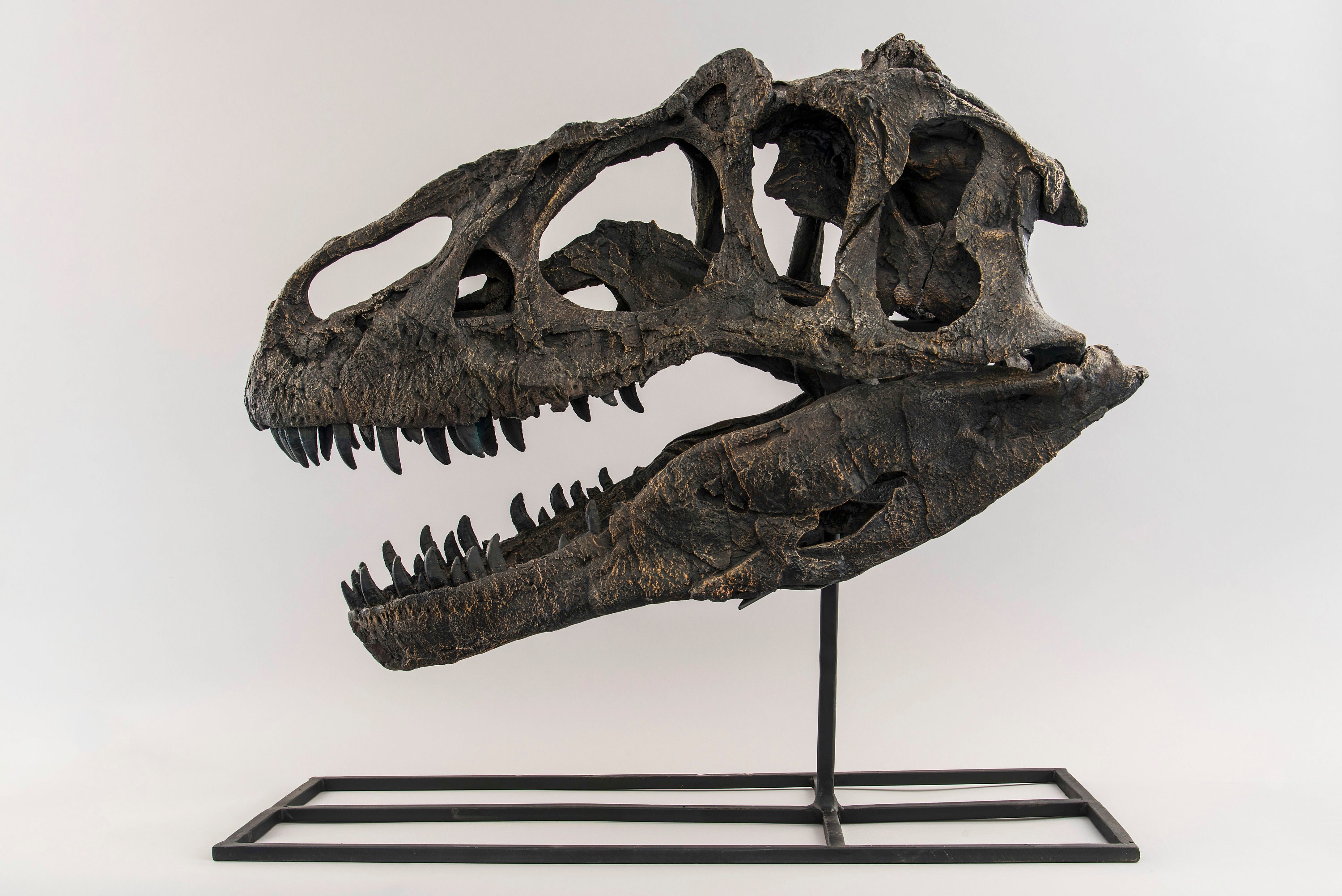 ID anyone? (Or maybe the closest from it). I’ve had this tattoo for a ...