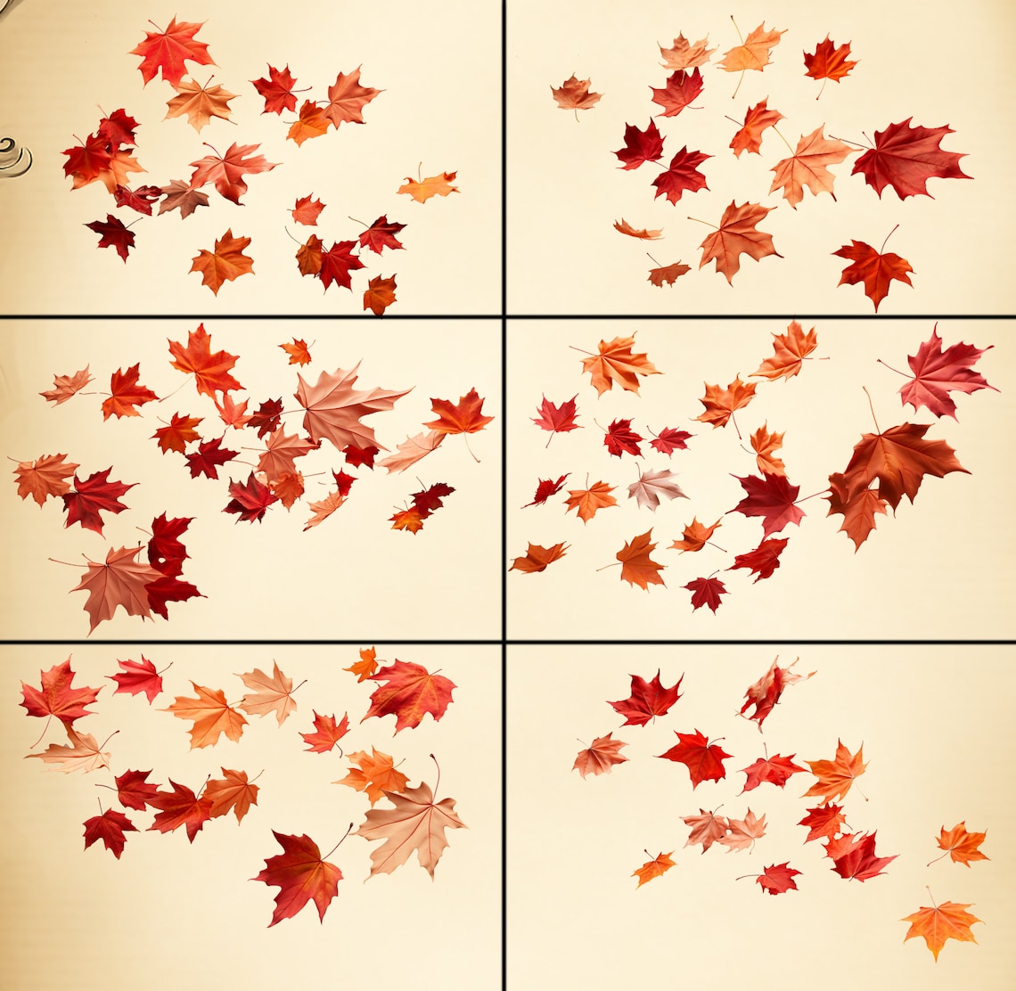 20 Foating Leaf Overlays, Leaf Overlays, Photo Overlay, Photo Editing ...