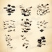 30 Book and Pages Overlays, Floating Pages Overlays, Photo Overlay ...