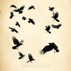 18 Black Crow Overlay, Floating Crow Overlays, Photo Overlay ...