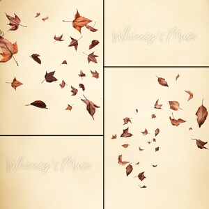 20 Foating Leaf Overlays, Leaf Overlays, Photo Overlay, Photo Editing ...