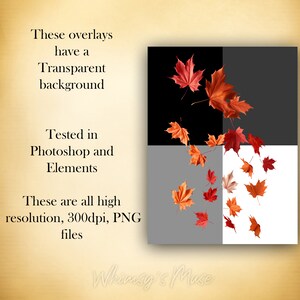 20 Foating Leaf Overlays, Leaf Overlays, Photo Overlay, Photo Editing ...